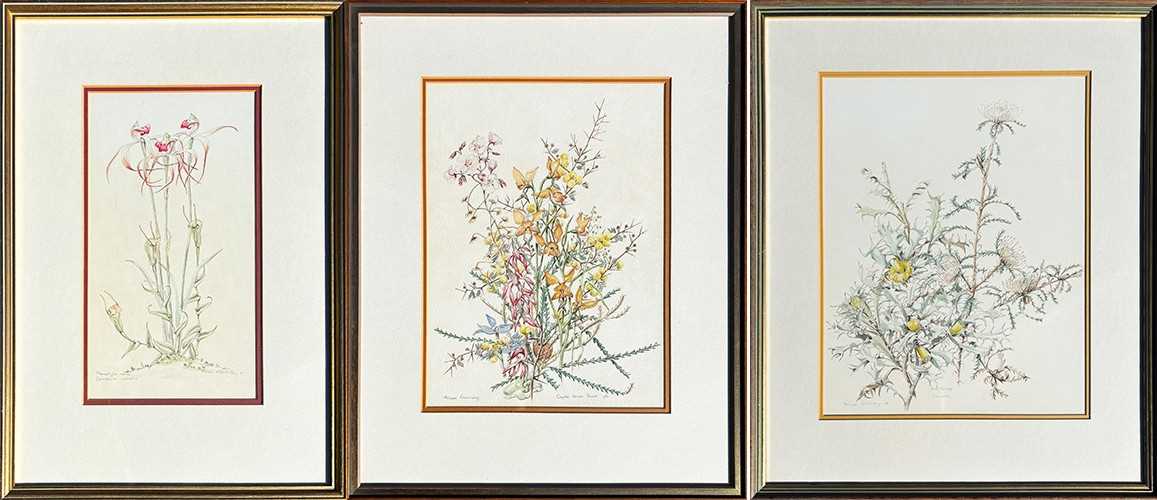Lot 102 - Three Philippa Nikulinsky (b.1942) Botanical